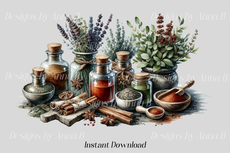 Watercolor Rustic Herbs and Spices Clipart: Kitchen Art (12 PNG Files ...