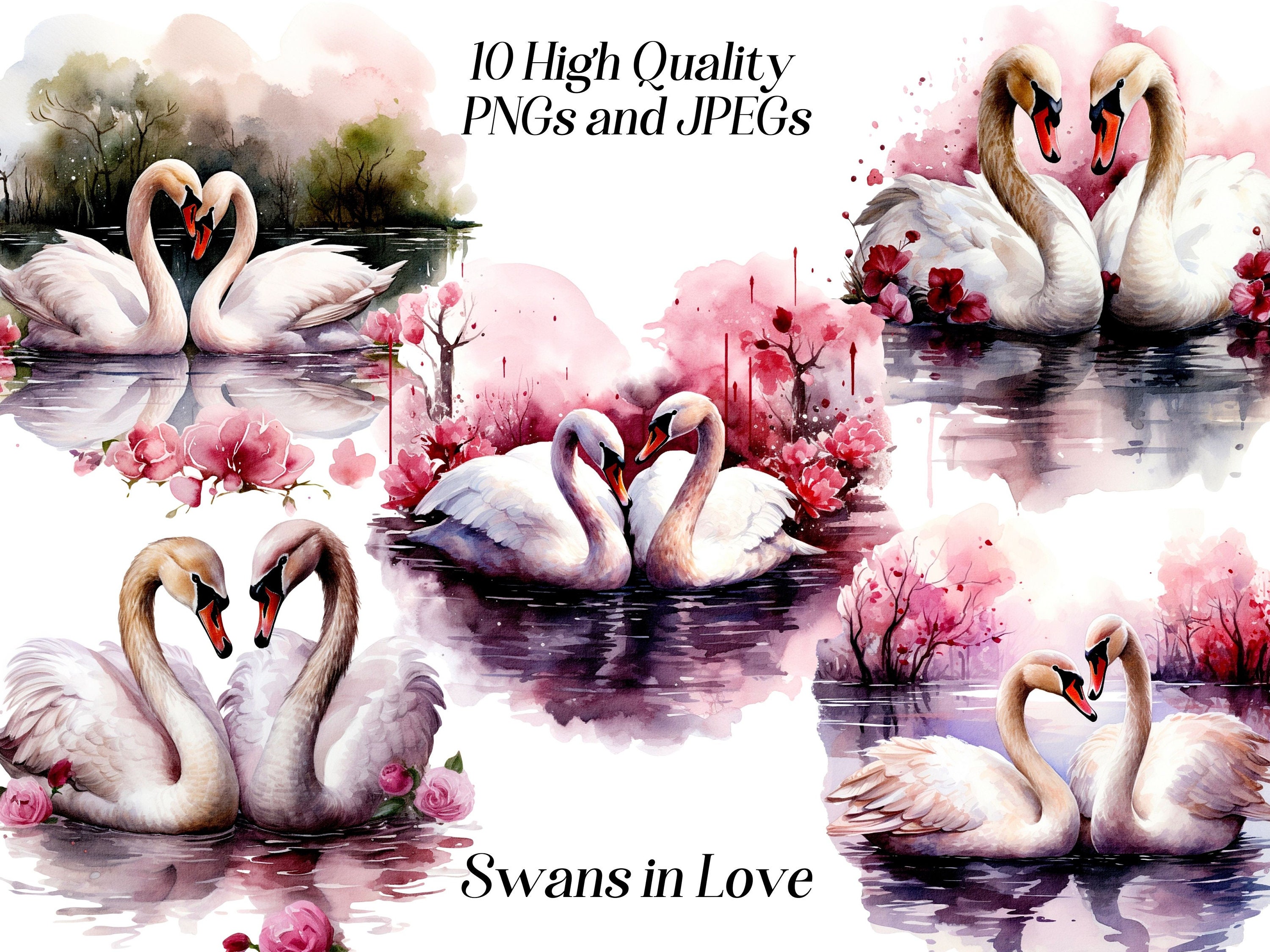Swans In Love Clipart