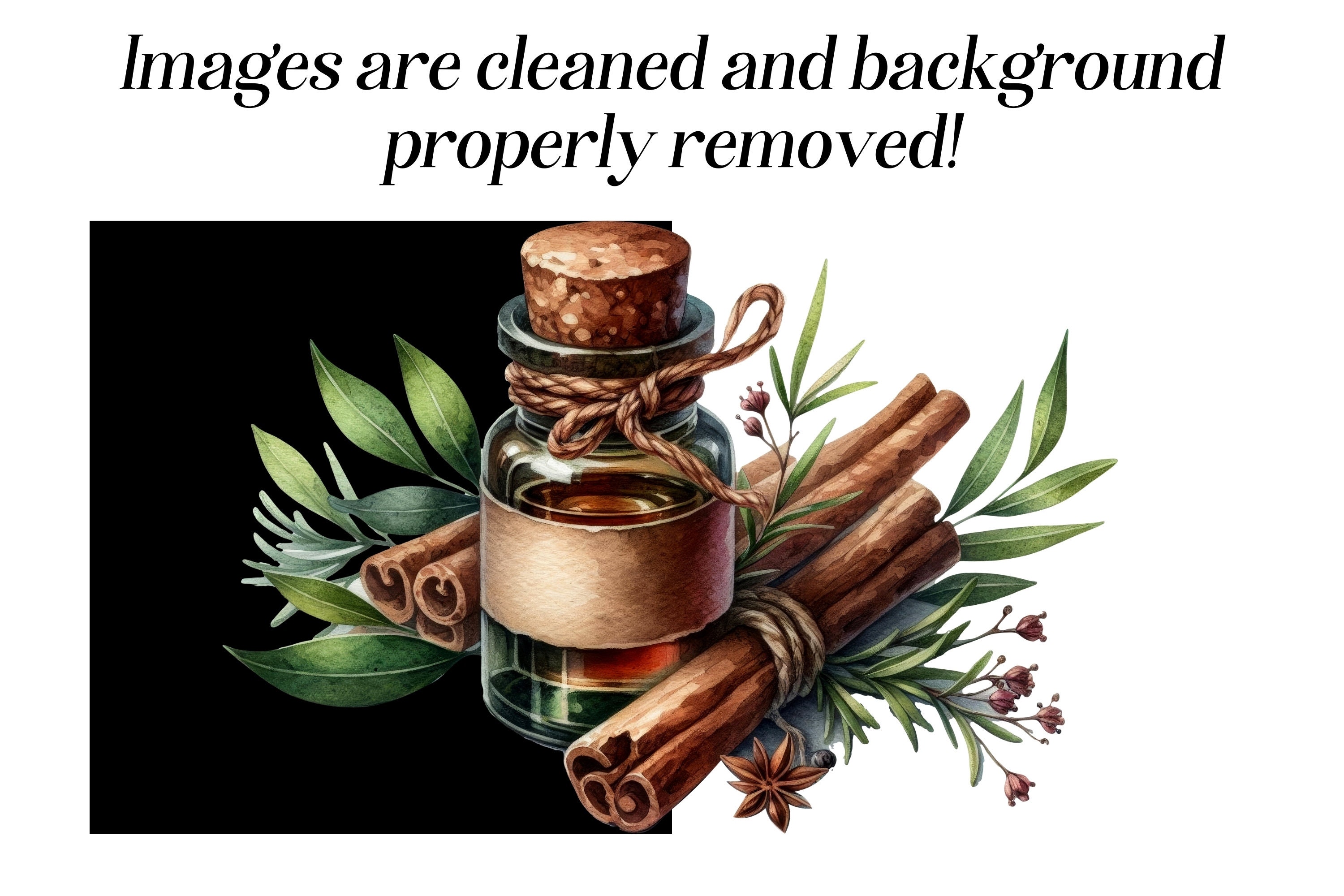 Watercolor Essential Oils Clipart: Botanical Aromatherapy PNG (digital ...