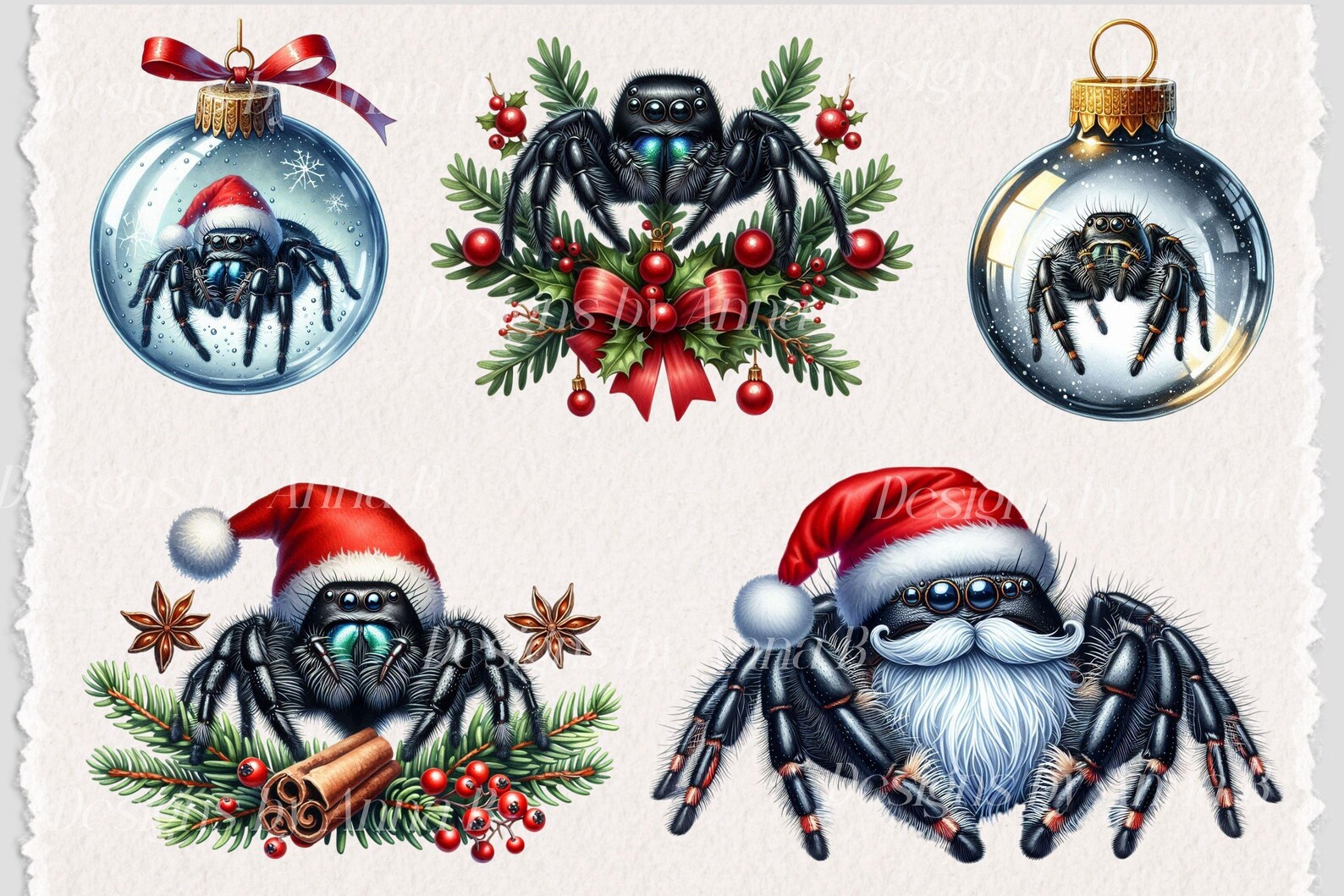 Christmas Jumping Spider Clipart: Watercolor Holiday PNG Graphics ...
