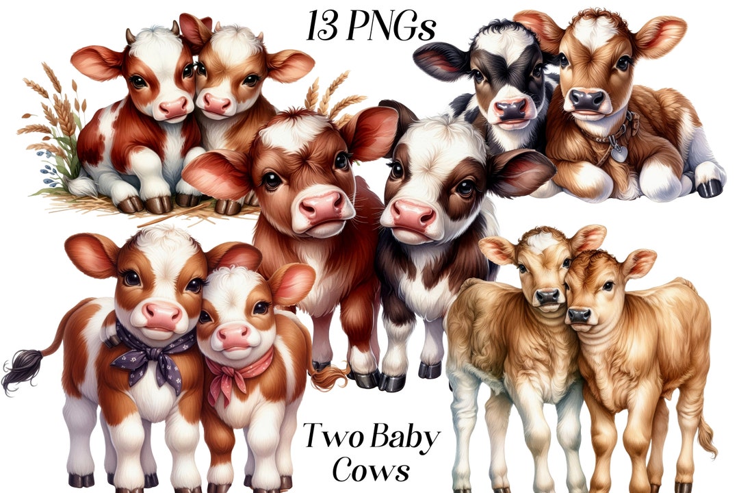 Watercolor Two Baby Cows Clipart, 13 PNG Files, Calf Clip Art, Farm ...