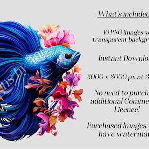 Watercolor Betta Fish Clipart, 10 High Quality PNG Files, Fish Clip Art ...
