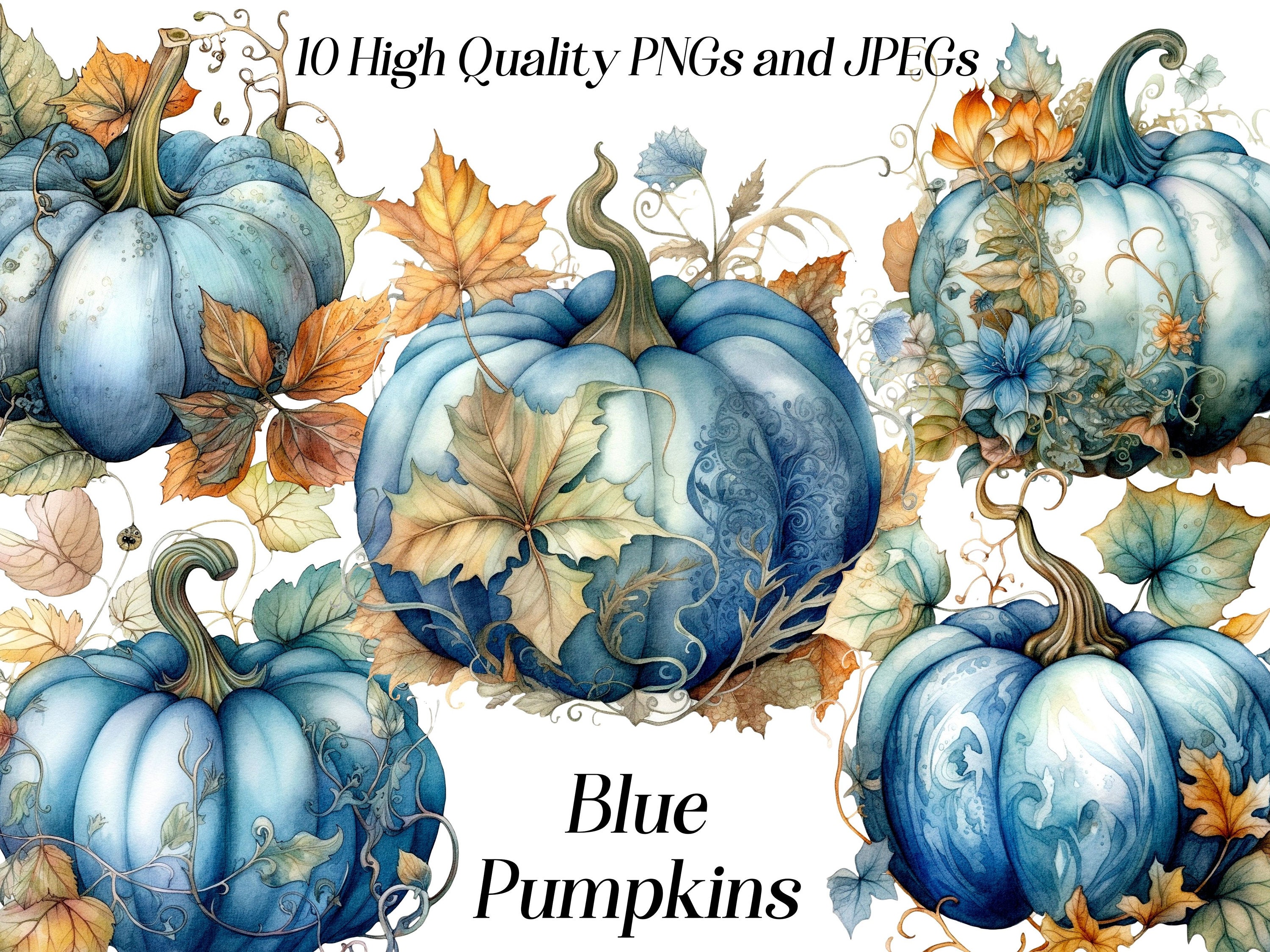 Watercolor Blue Pumpkins Clipart 10 High Quality JPEG and PNG - Etsy