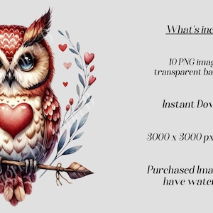 Owl With Hearts Clipart, Valentine Owl Clip Art, Png, Woodland Bird ...