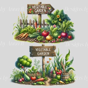 Watercolor Garden Patch Clipart, 14 PNG Files, Vegetables, Countryside ...