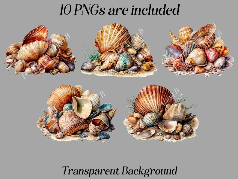 Watercolor Seashells Clipart: Nautical JPEG & PNG Files (digital ...