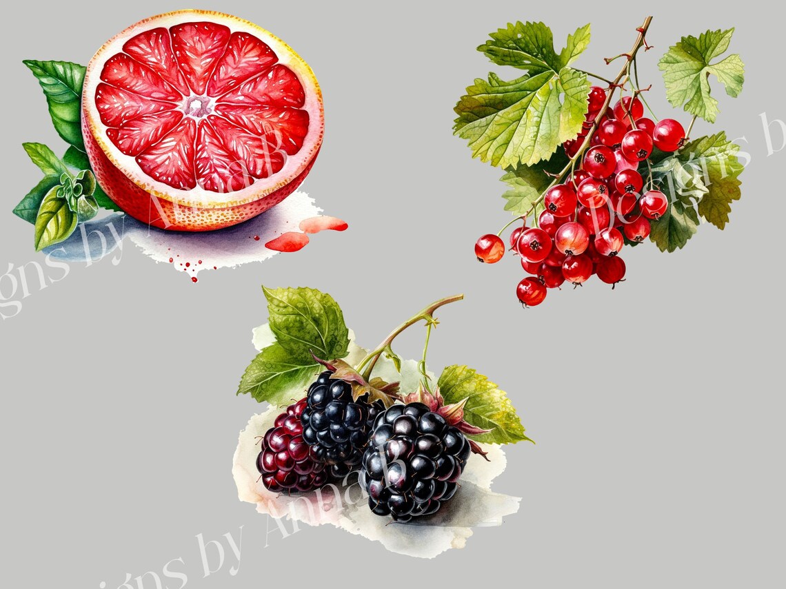 Watercolor Fruits Clipart 39 High Quality Pngs Tropical - Etsy