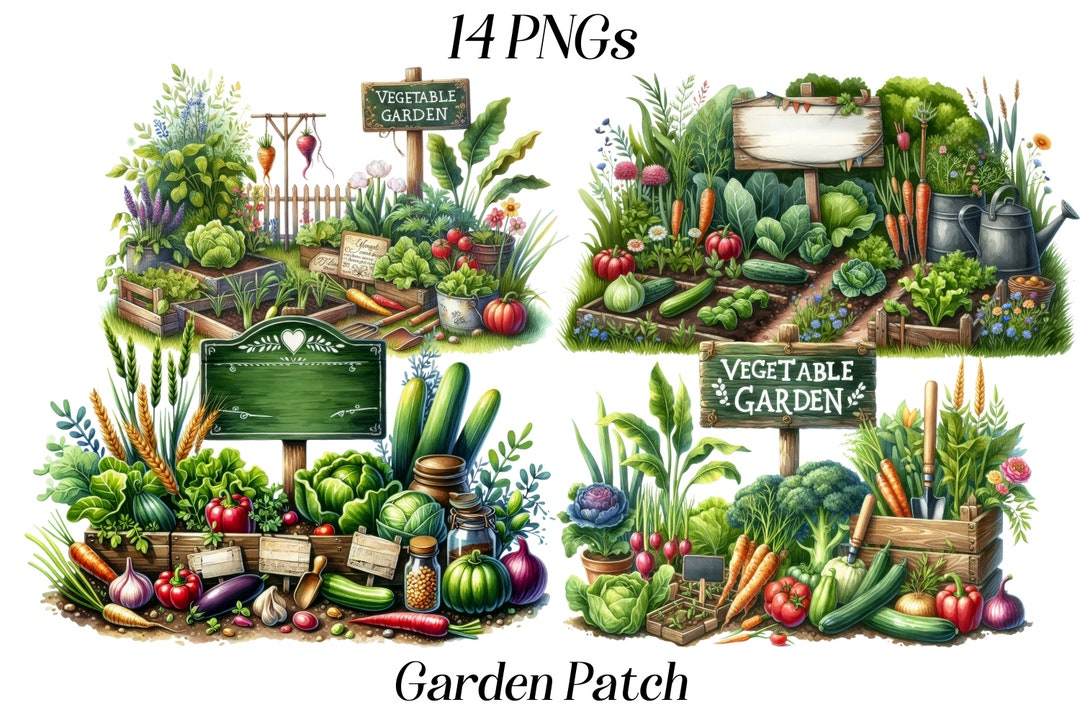 Watercolor Garden Patch Clipart, 14 PNG Files, Vegetables, Countryside ...