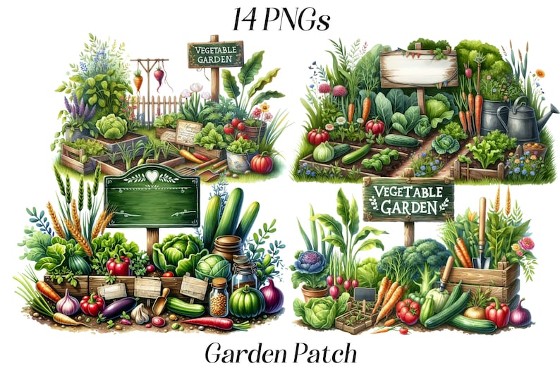 Watercolor Garden Clipart: Vegetable Patch PNG Images (digital Download ...