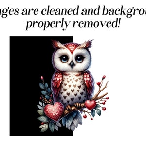 Owl With Hearts Clipart, Valentine Owl Clip Art, Png, Woodland Bird ...