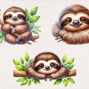 Sloth Clipart, Cute Cloth Clip Art, Watercolor Sloth Png, Sloth ...
