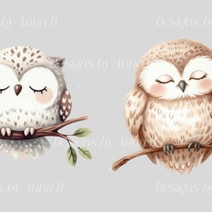 Watercolor Cute Sleepy Owl Clipart, 12 PNG Files, Cartoon Owl, Nursery ...