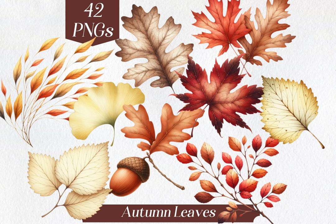 Watercolor Autumn Leaves Clipart: Fall Botanical Pngs (digital Download ...