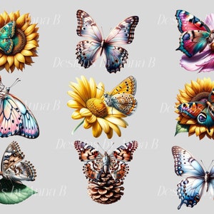 Watercolor Butterfly Clipart: 50 PNG Files (digital Download) - Etsy