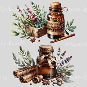 Watercolor Essential Oils Clipart: Botanical Aromatherapy PNG (digital ...