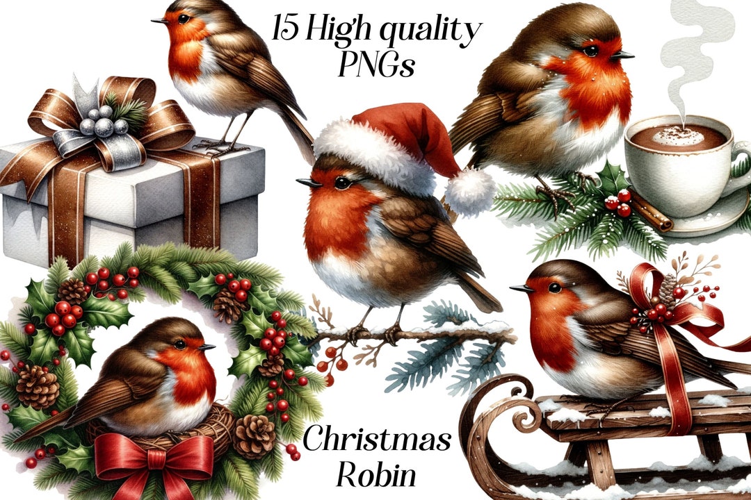 Watercolor Christmas Robin Clipart, 15 High Quality PNG Files, Xmas ...