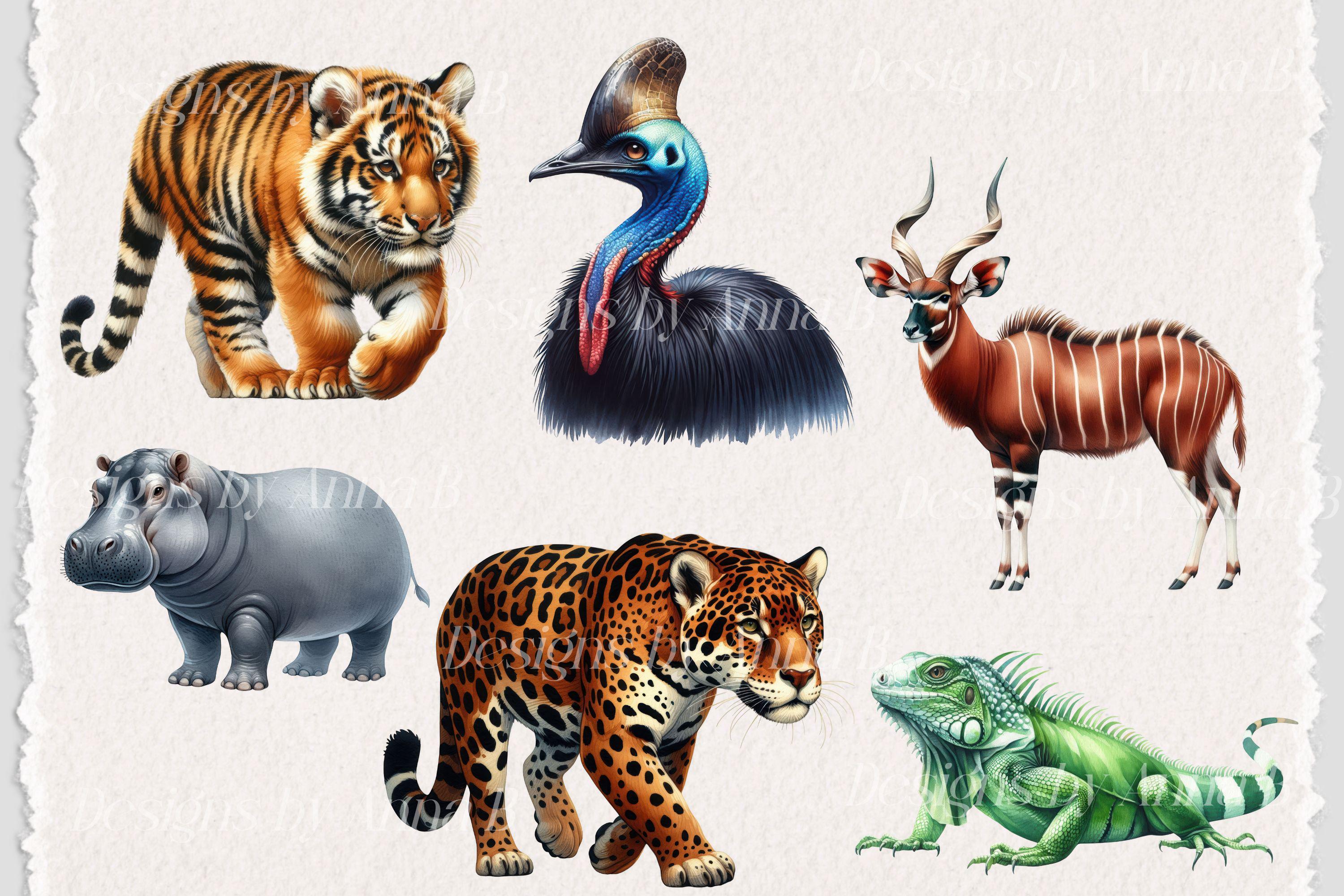 Jungle Animals Clipart: 35 Wild Animal Pngs (digital Download) - Etsy
