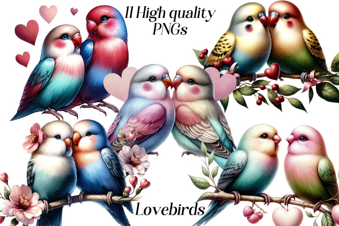 Lovebirds Clipart, Watercolor Valentine Birds Clip Art, Png, Cute ...