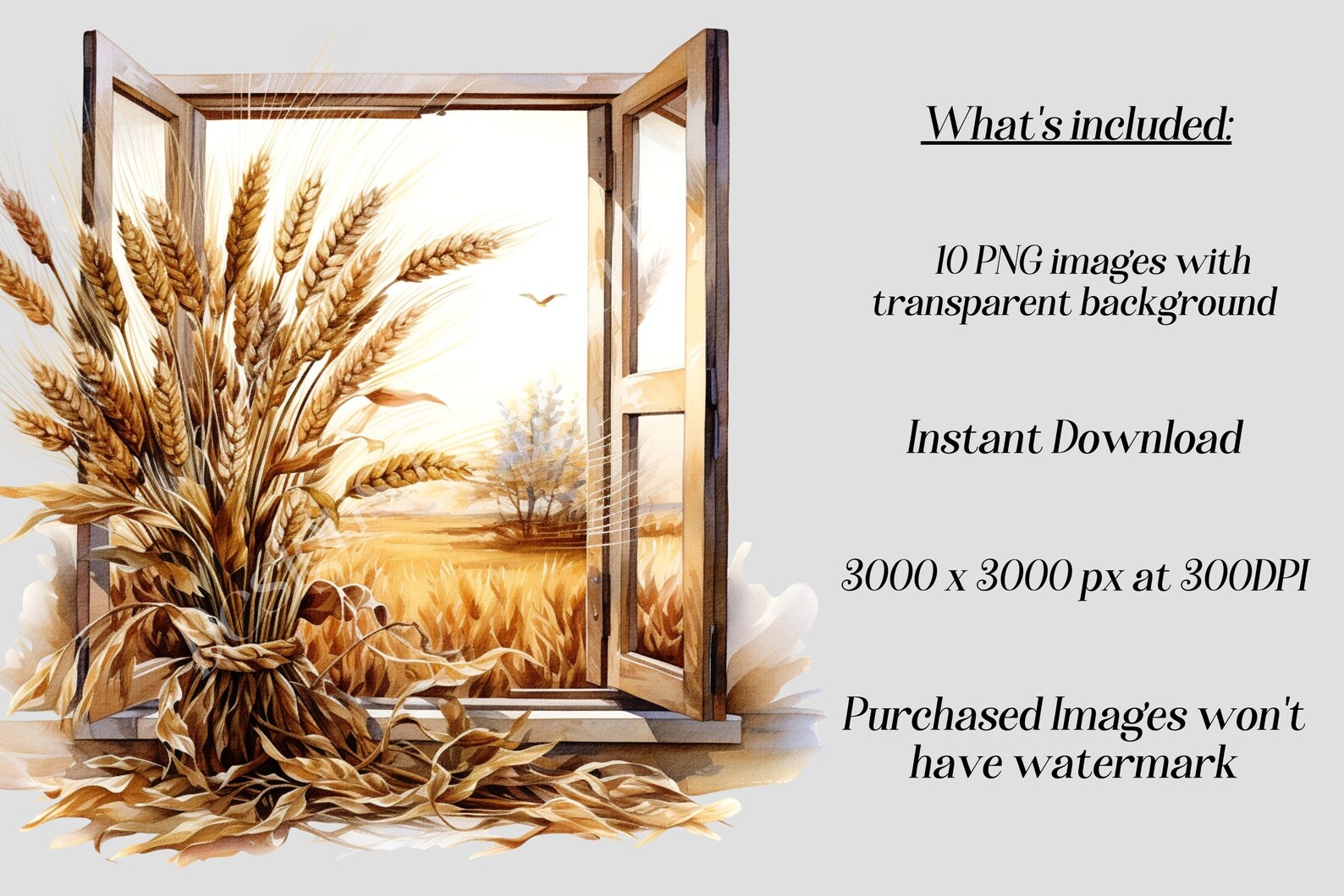 Watercolor Window Wheat Clipart: Harvest Bakery Decor (PNG Files) - Etsy