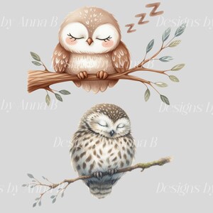Watercolor Sleepy Owl Clipart: Nursery Art, Woodland Pngs (digital ...