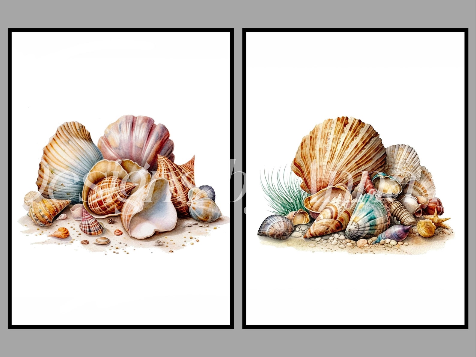 Watercolor Seashells Clipart: Nautical JPEG & PNG Files (digital ...