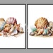 Watercolor Seashells Clipart, 10 High Quality JPEG and PNG Files ...