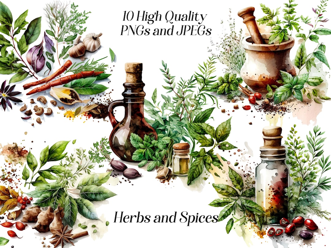 Watercolor Herbs & Spices Clipart: Rustic Kitchen Graphics (JPEG, PNG ...