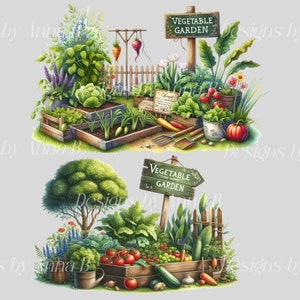 Watercolor Garden Patch Clipart, 14 PNG Files, Vegetables, Countryside ...