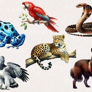 Jungle Animals Clipart Wild Animals PNG, Safari Animal Art, Tropical ...