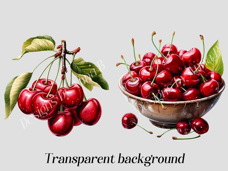 Watercolor Cherry Clipart: 5 PNG Fruit Illustrations (digital Download ...