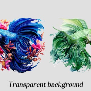 Watercolor Betta Fish Clipart, 10 High Quality PNG Files, Fish Clip Art ...