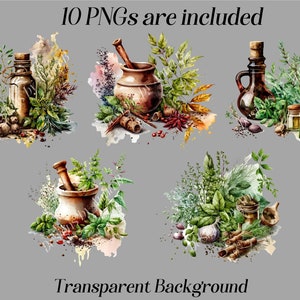 Watercolor Herbs & Spices Clipart: Rustic Kitchen Graphics (JPEG, PNG ...