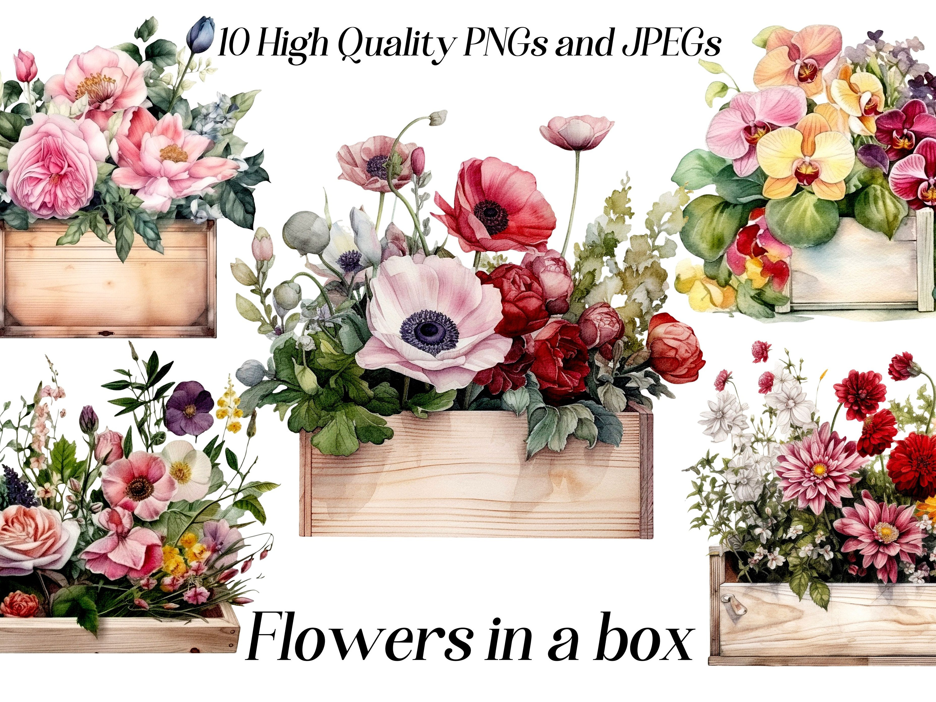 Flower Box Clip Art