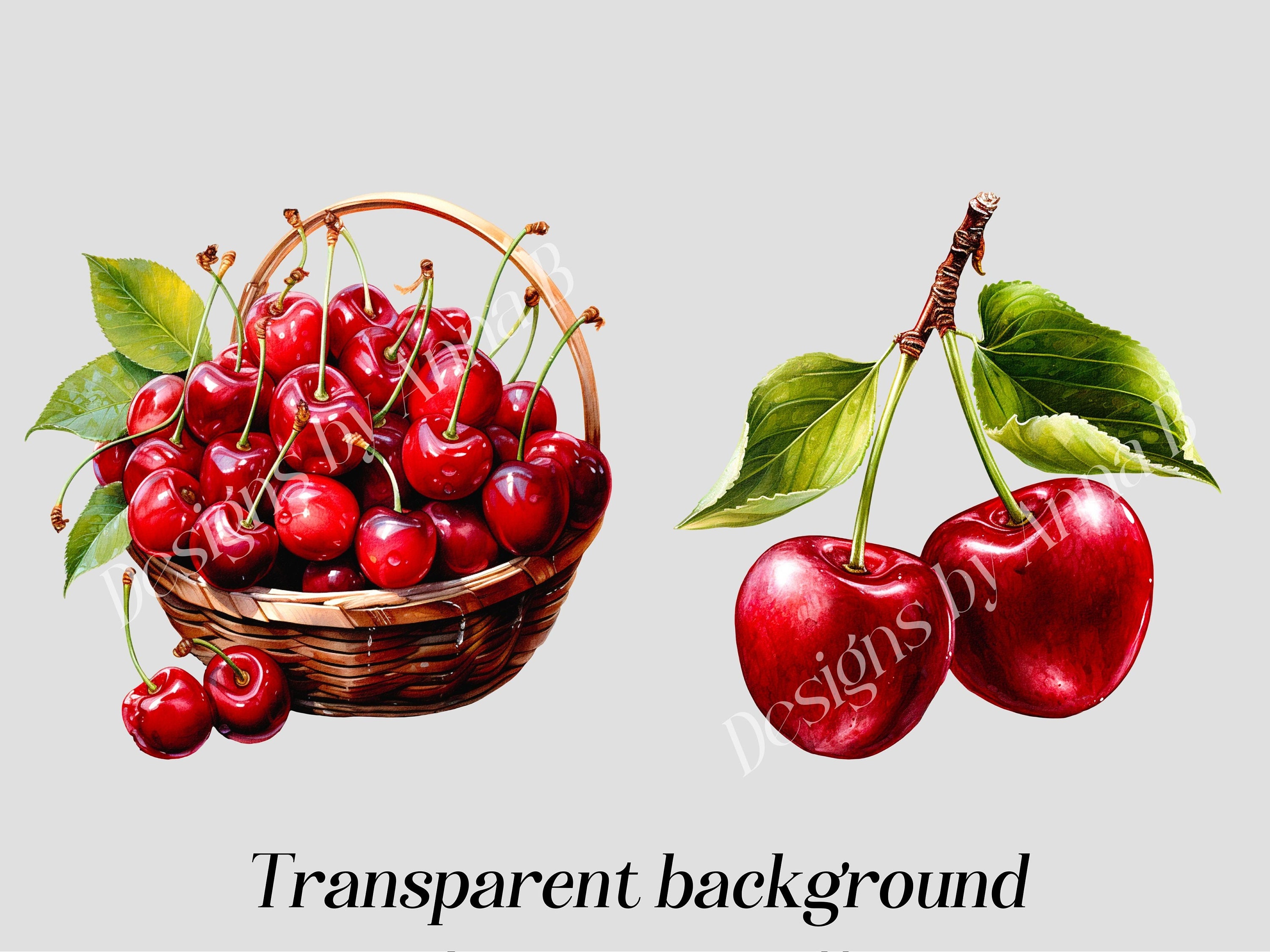 Watercolor Cherry Clipart: 5 PNG Fruit Illustrations (digital Download ...