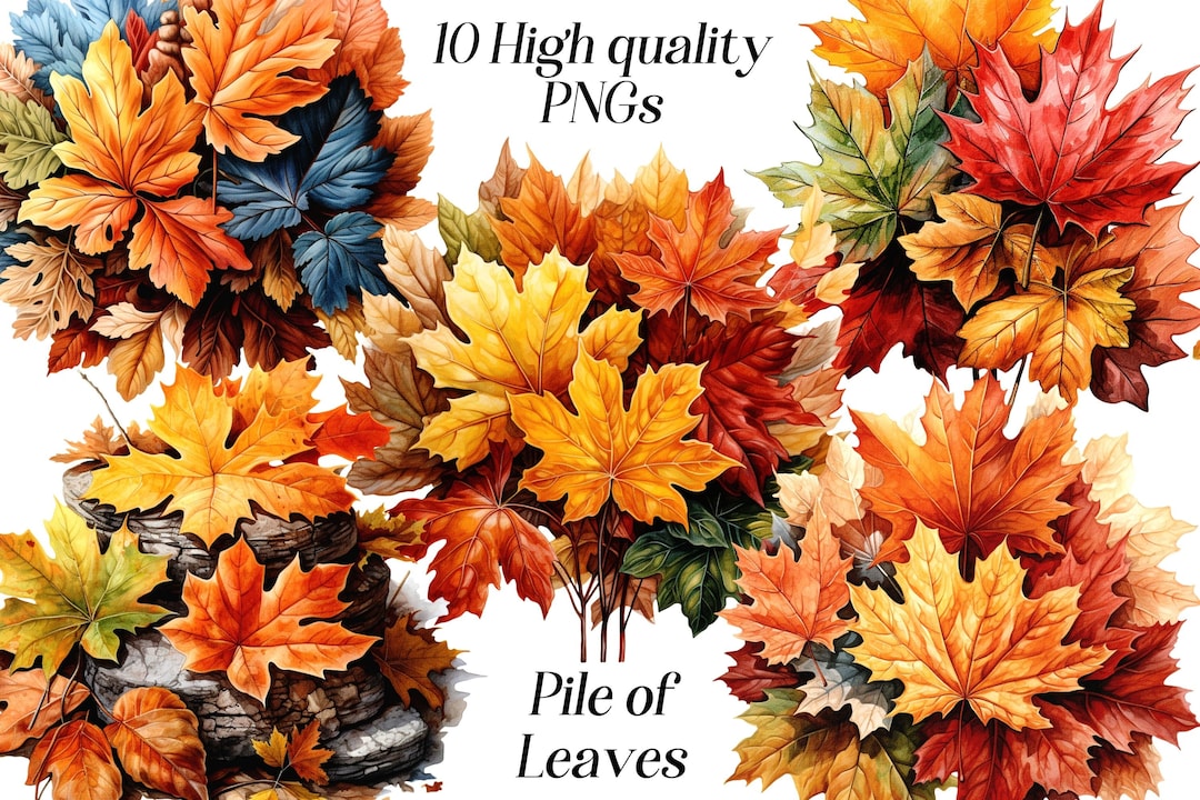 Watercolor Autumn Leaves Clipart: Fall Graphics (PNG Files) - Etsy