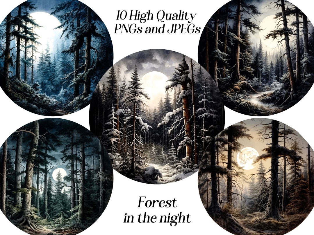 Watercolor Forest Clipart: Night Landscape, Moon, Trees (digital ...