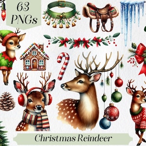 Christmas Reindeer Clipart: Holiday PNG Art Set (63 Files) - Etsy