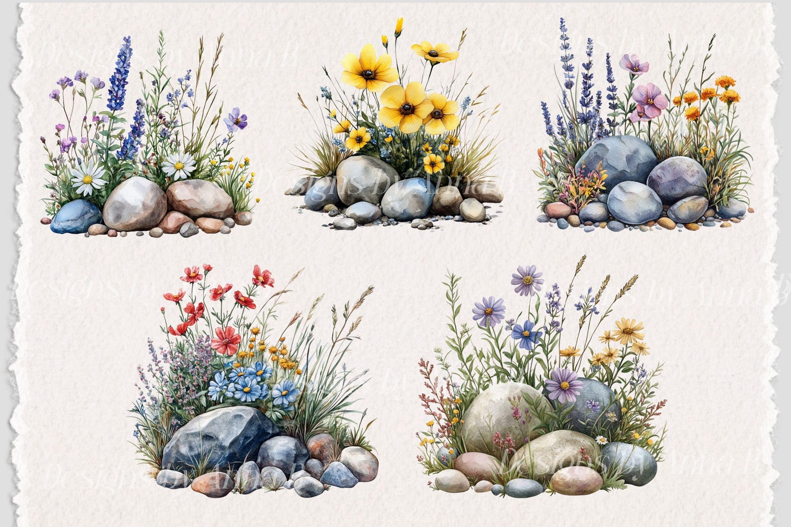 Watercolor Wildflowers Clipart: 31 PNG Flowerbed Illustrations (digital ...