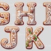 Watercolor Gingerbread Cookie Alphabet Clipart, 26 High Quality PNG ...