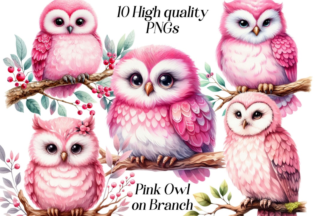Watercolor Pink Owl on Branch Clipart, 10 High Quality PNG Files, Cute ...