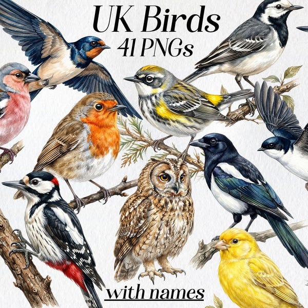 Clip Art British Birds - Etsy UK