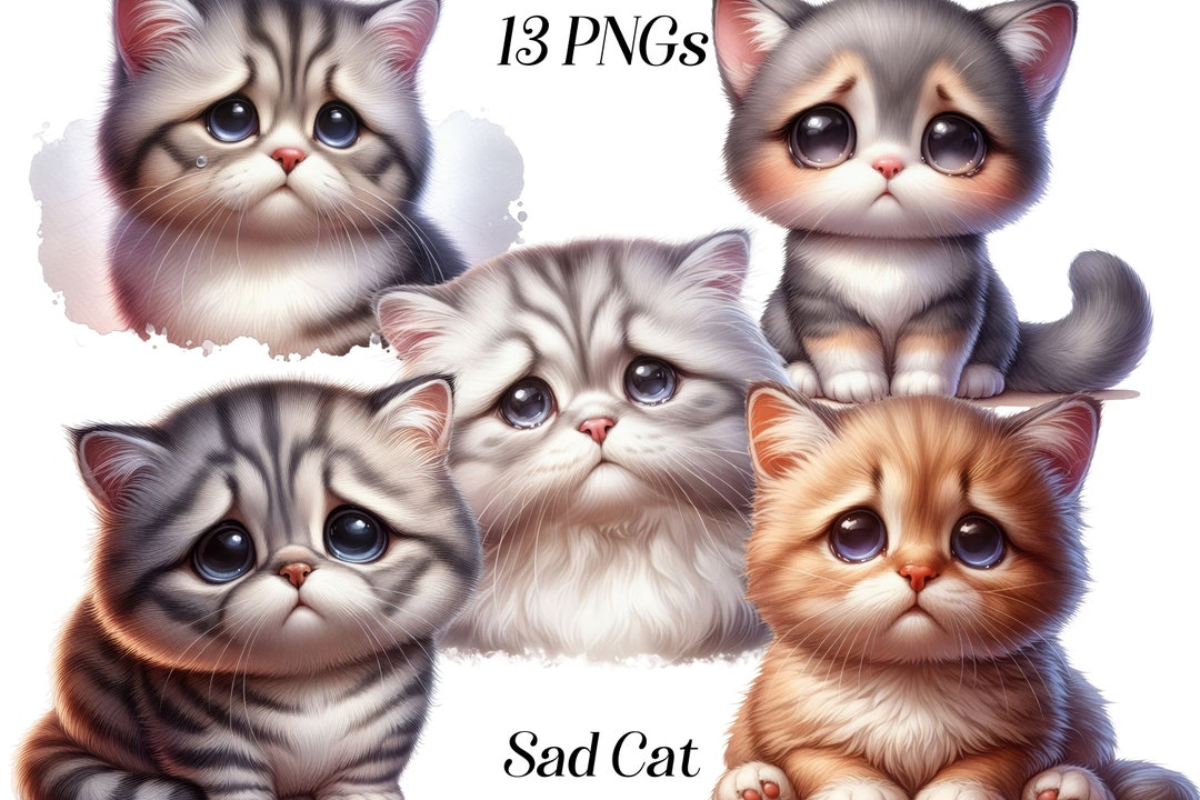 Watercolor Sad Cat Clipart, 13 PNG Files, Kitten, Miserable Animal ...