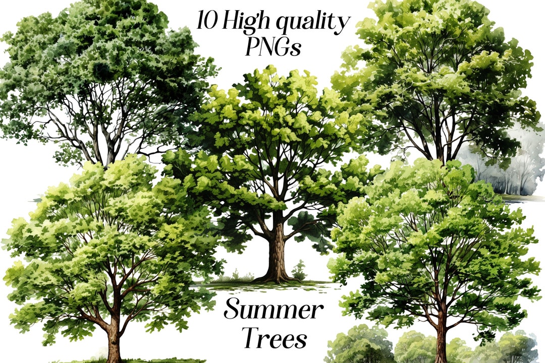 Watercolor Summer Trees Clipart: 10 PNG Nature Graphics (digital ...