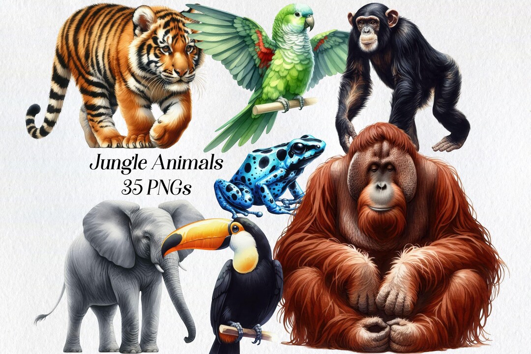 Jungle Animals Clipart: 35 Wild Animal Pngs (digital Download) - Etsy