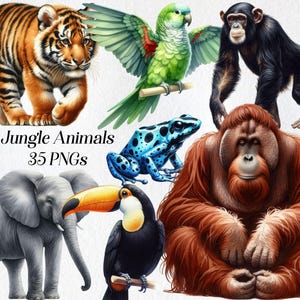 Jungle Animals Clipart: 35 Wild Animal Pngs (digital Download) - Etsy