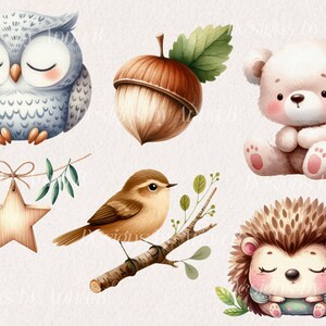 Forest Friends Clipart Set - Cute Woodland Animals and Nature Scenery ...