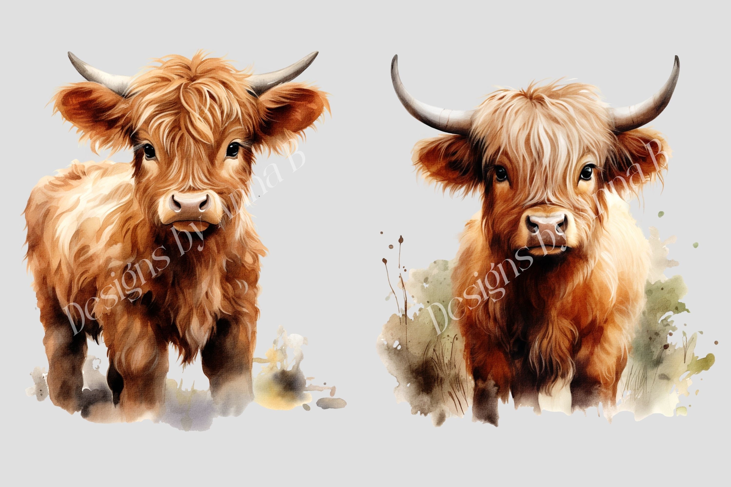 Watercolor Baby Highland Cow Clipart: Farm Animal PNG Graphics (digital ...