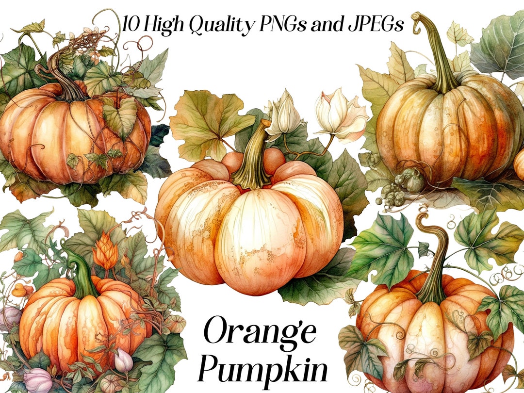 Watercolor Pumpkin Clipart: Fall Halloween Cottagecore (JPEG, PNG) - Etsy