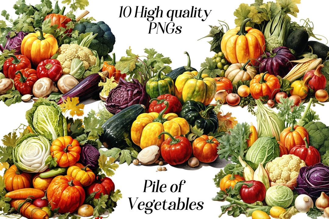 Watercolor Vegetable Clipart: 10 PNG Kitchen Graphics (digital Download ...