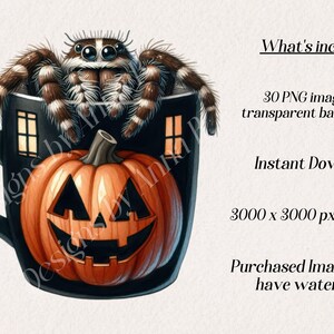 Spooky Halloween Jumping Spider Watercolor Clipart (digital Download ...